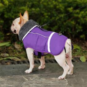 PawTrekker All-Weather Dog Boots | BATPIG Pet Supply