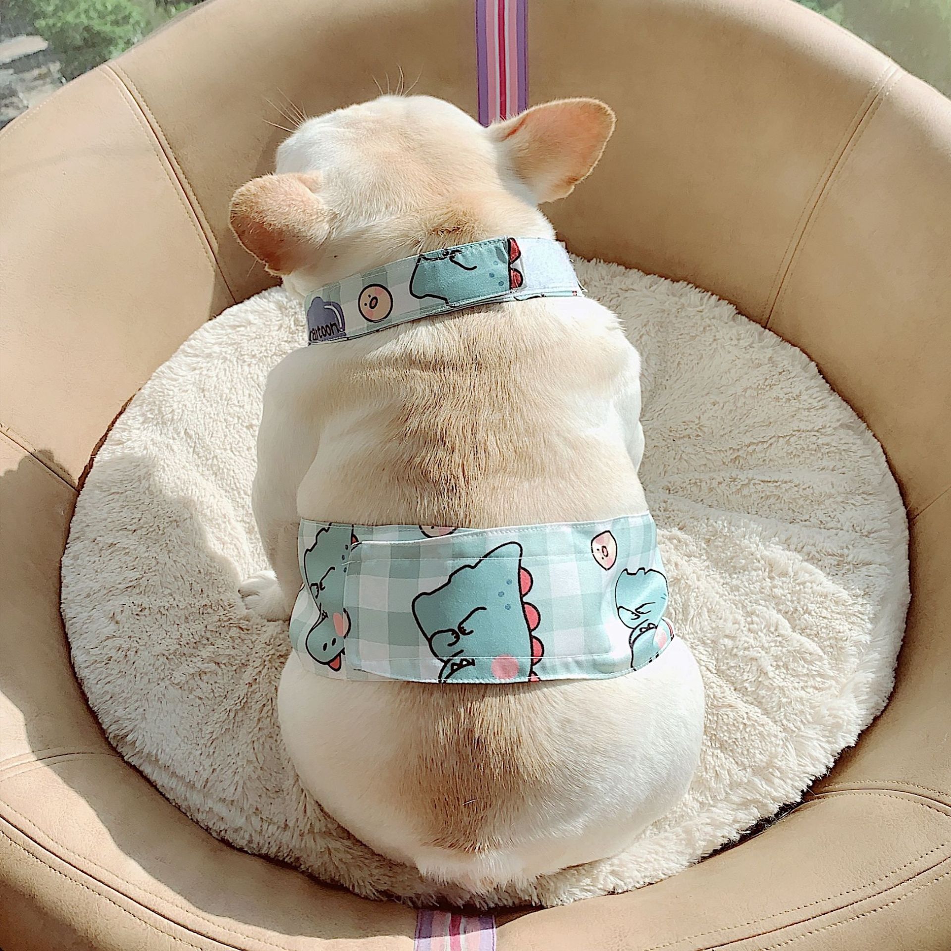 Summer Adventures French Bulldog Cooling Vest | BATPIG Pet Supply