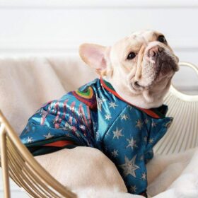 PawTrekker All-Weather Dog Boots | BATPIG Pet Supply