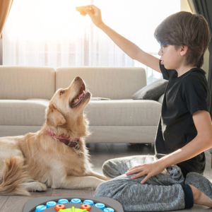 SmartPlay Dog Puzzle Feeder | BATPIG Pet Supply